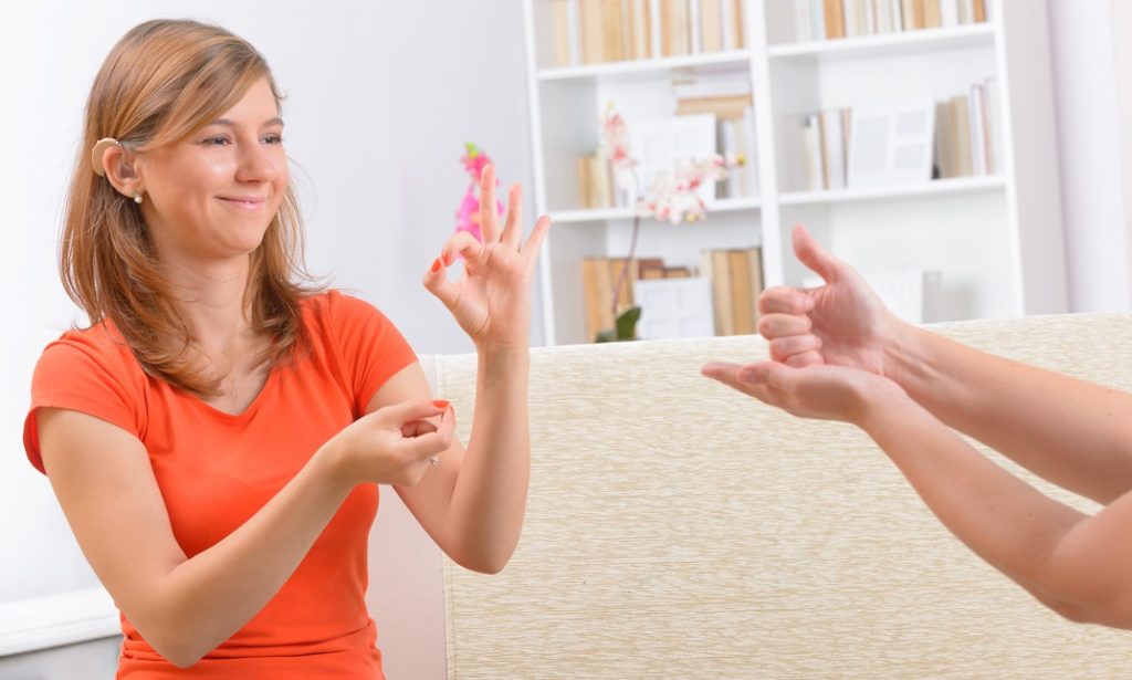 BSL Level 2 • The Teachers Training