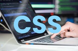Learn CSS Coding from Scratch • The Teachers Training